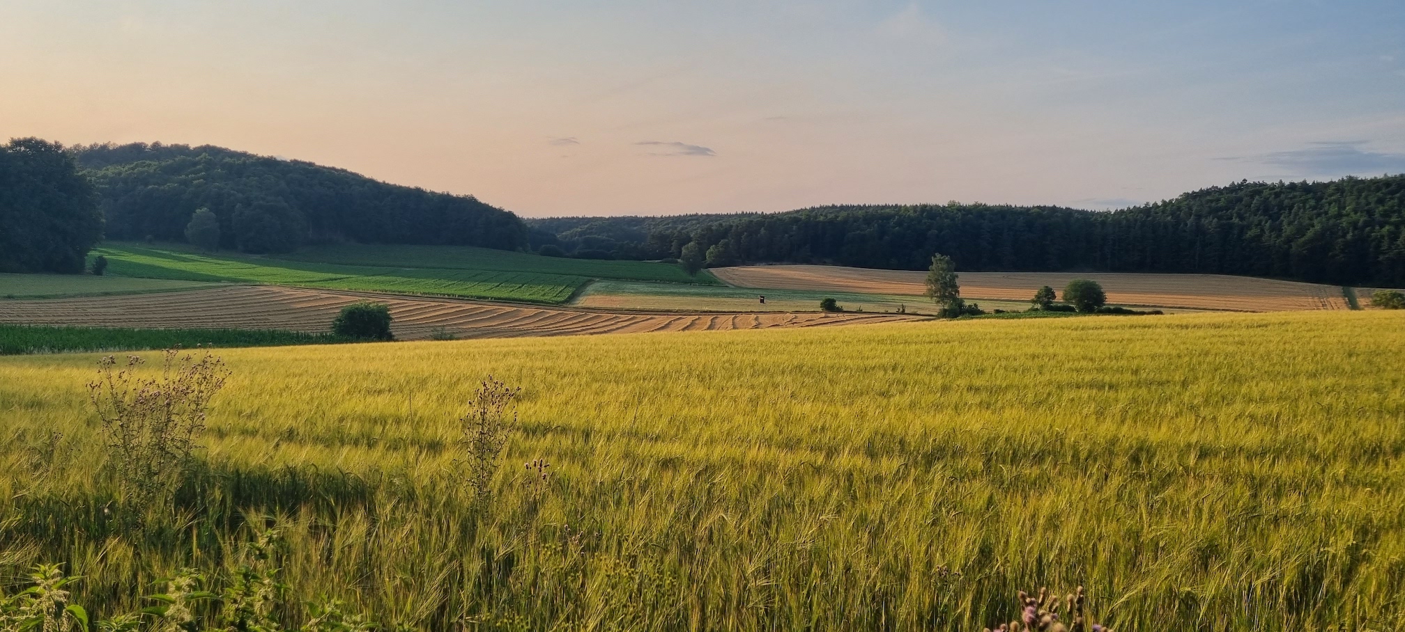Velden Frankenjura - A classical climbing spot in Germany