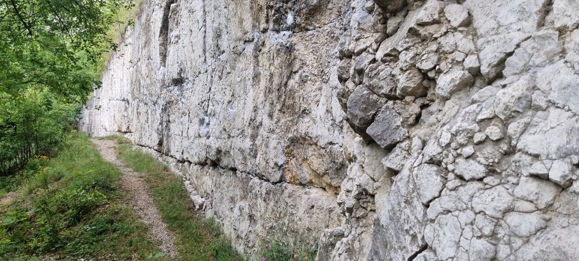 Climbing in Zakrzówek Park